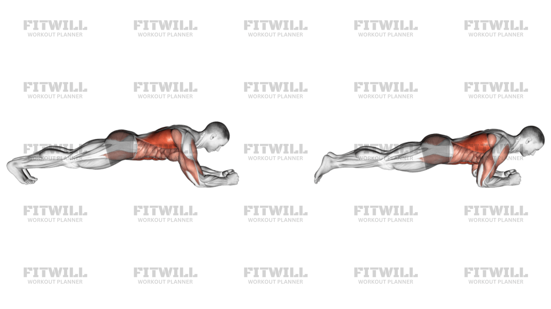 Body Saw Plank: Exercise Guide, Video, Techniques, Benefits, How to ...