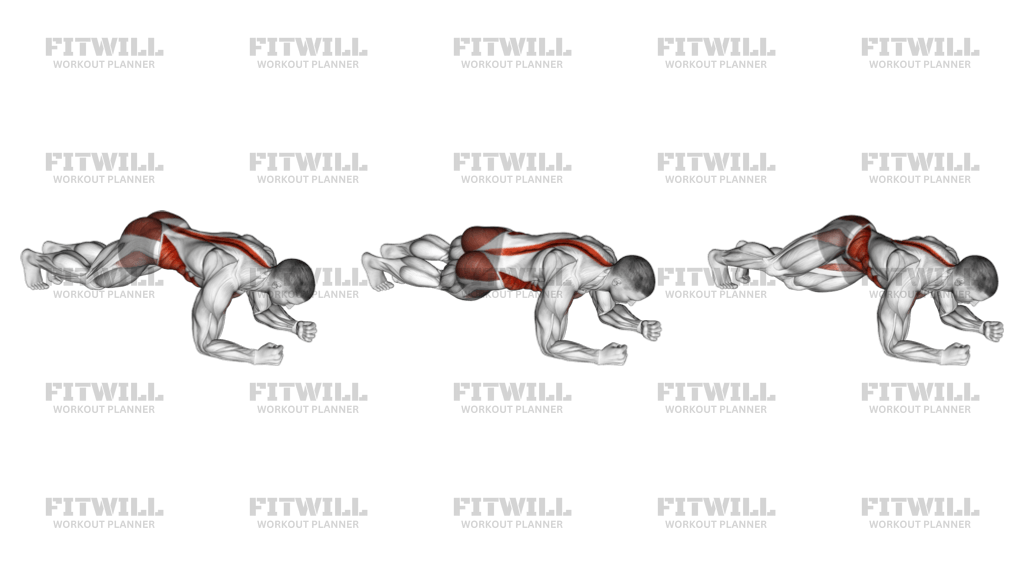 Hip Roll Plank: Exercise Guide, Video, Techniques, Benefits, How to ...