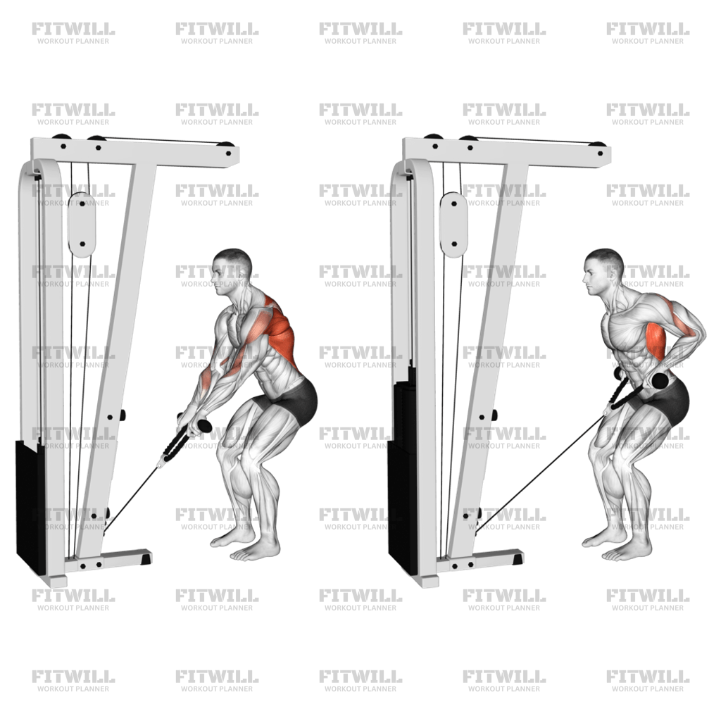 Cable Low Row With Rope Attachment: Exercise Guide, Techniques ...