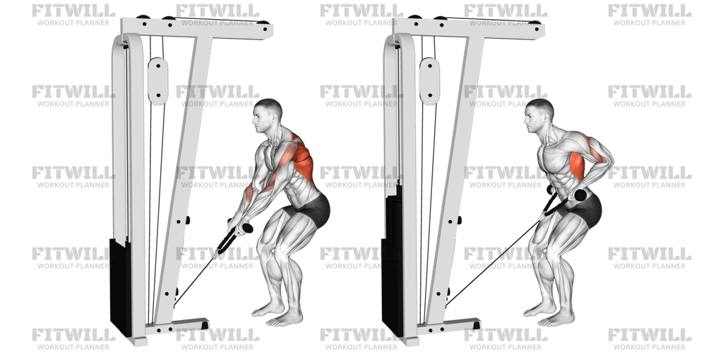 Cable Low Row With Rope Attachment: Exercise Guide, Techniques ...
