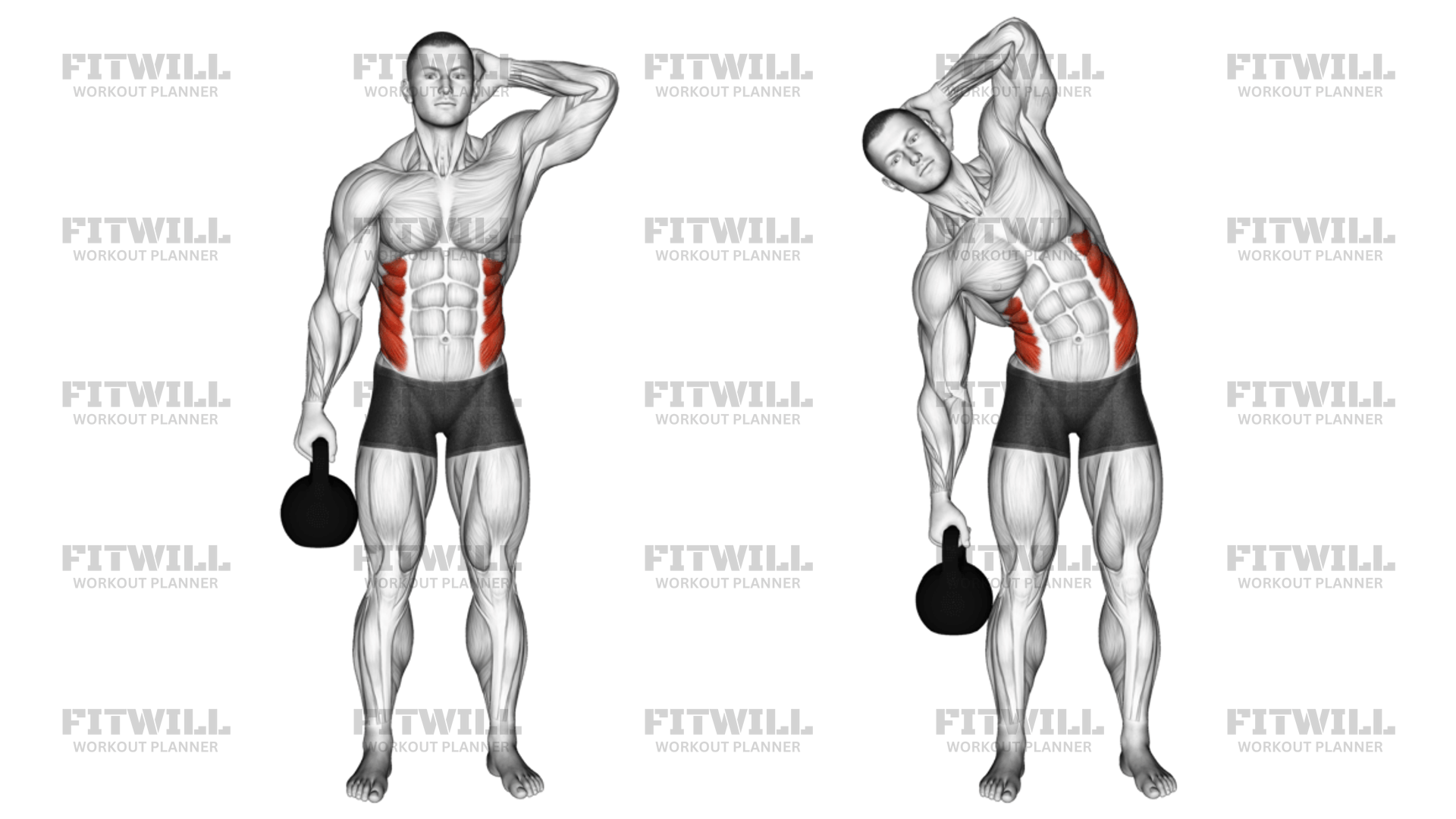 Flexión Lateral Con Kettlebell (VERSIÓN 2): Guía de Ejercicios ...