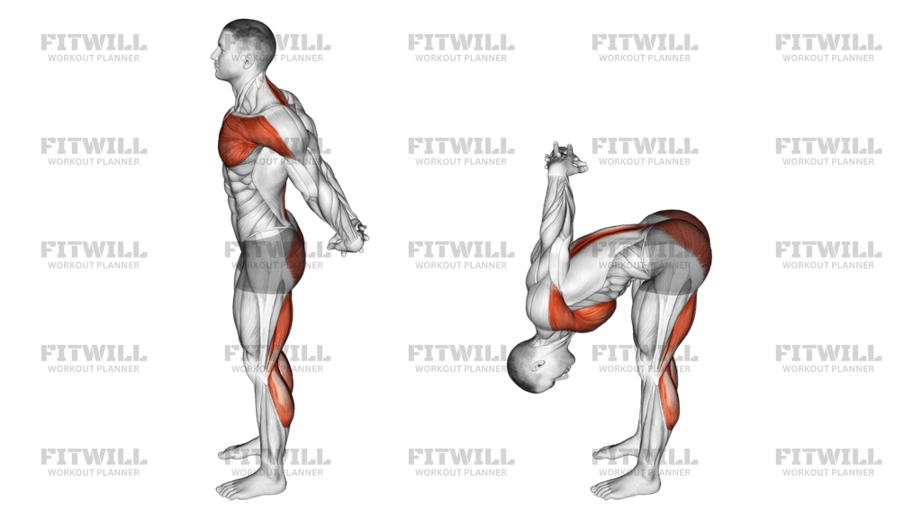 Standing Seal Yoga Pose: Exercise Guide, Techniques, Benefits, How to ...