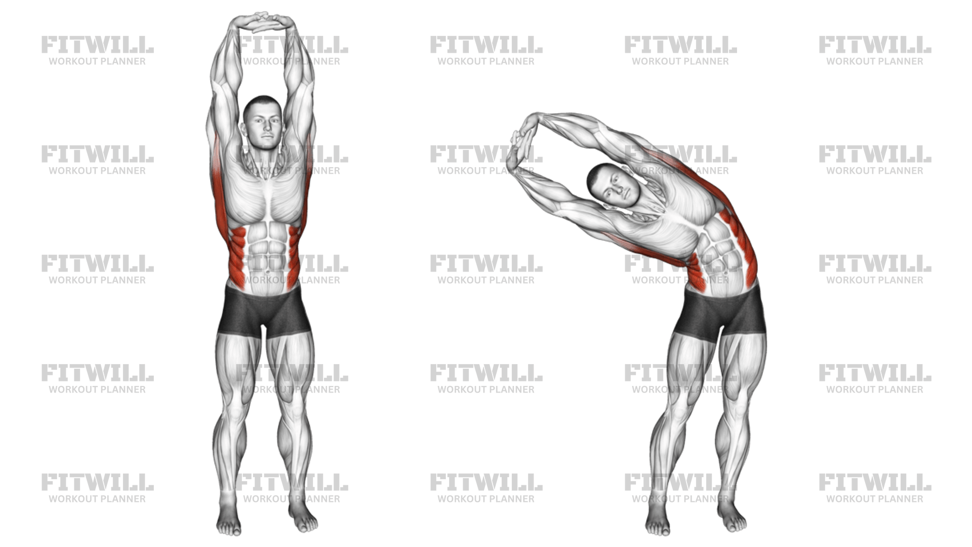 Swaying Palm Tree Yoga Pose: Exercise Guide, Techniques, Benefits, How ...