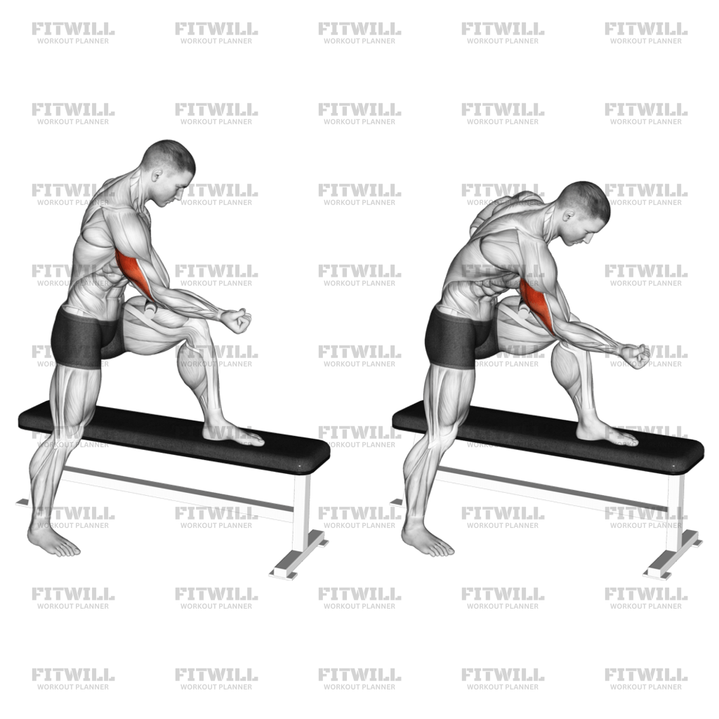 Tiger Tail Triceps: Exercise Guide, Techniques, Benefits, How to ...