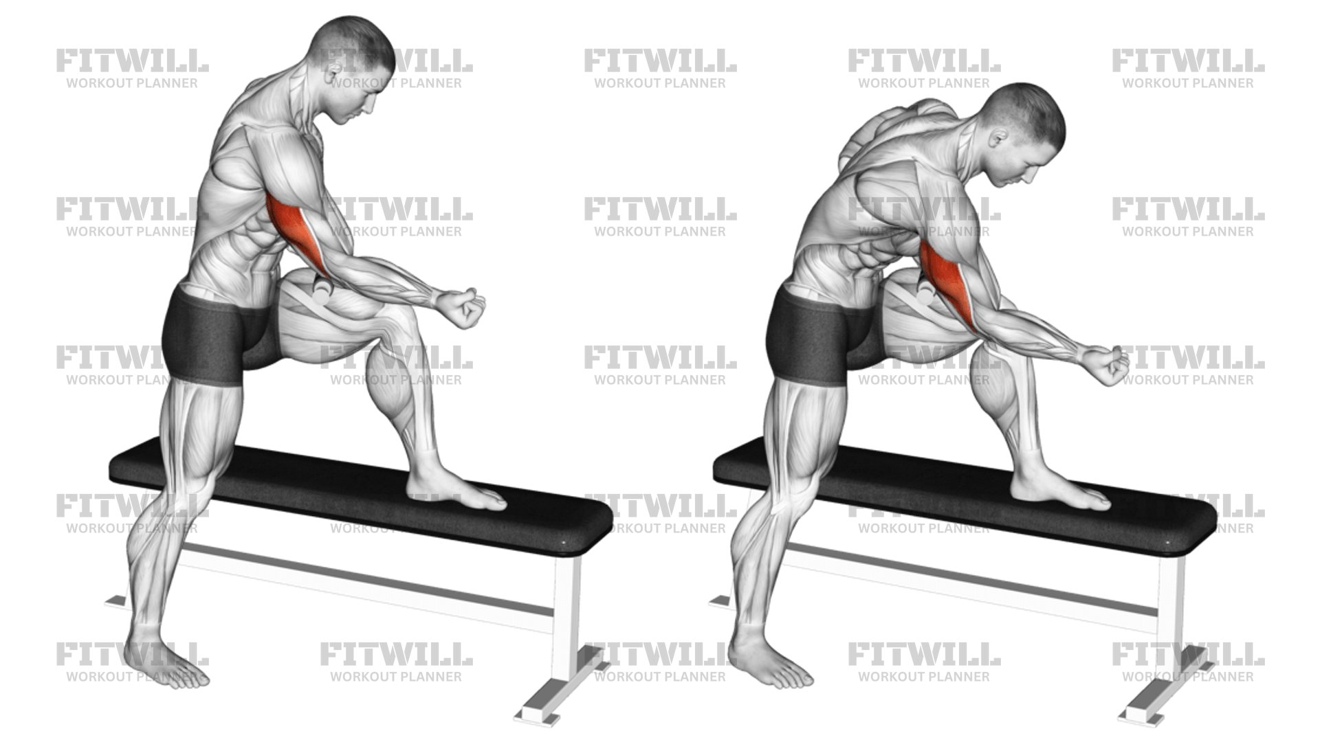 Tiger Tail Triceps: Exercise Guide, Techniques, Benefits, How to ...