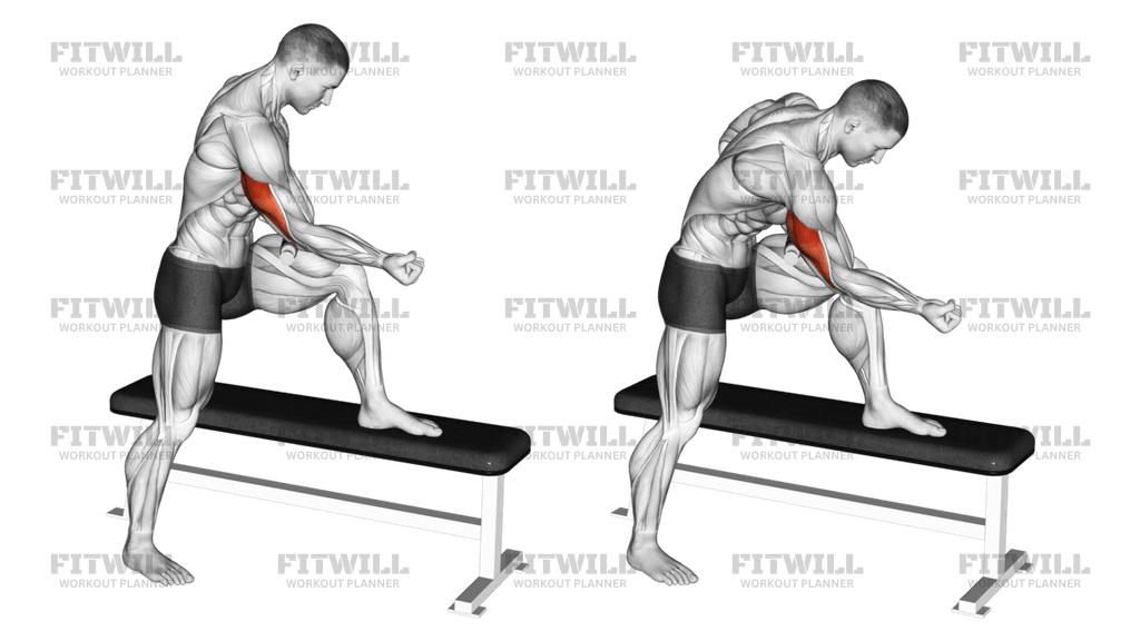 Tiger Tail Triceps: Exercise Guide, Techniques, Benefits, How to ...