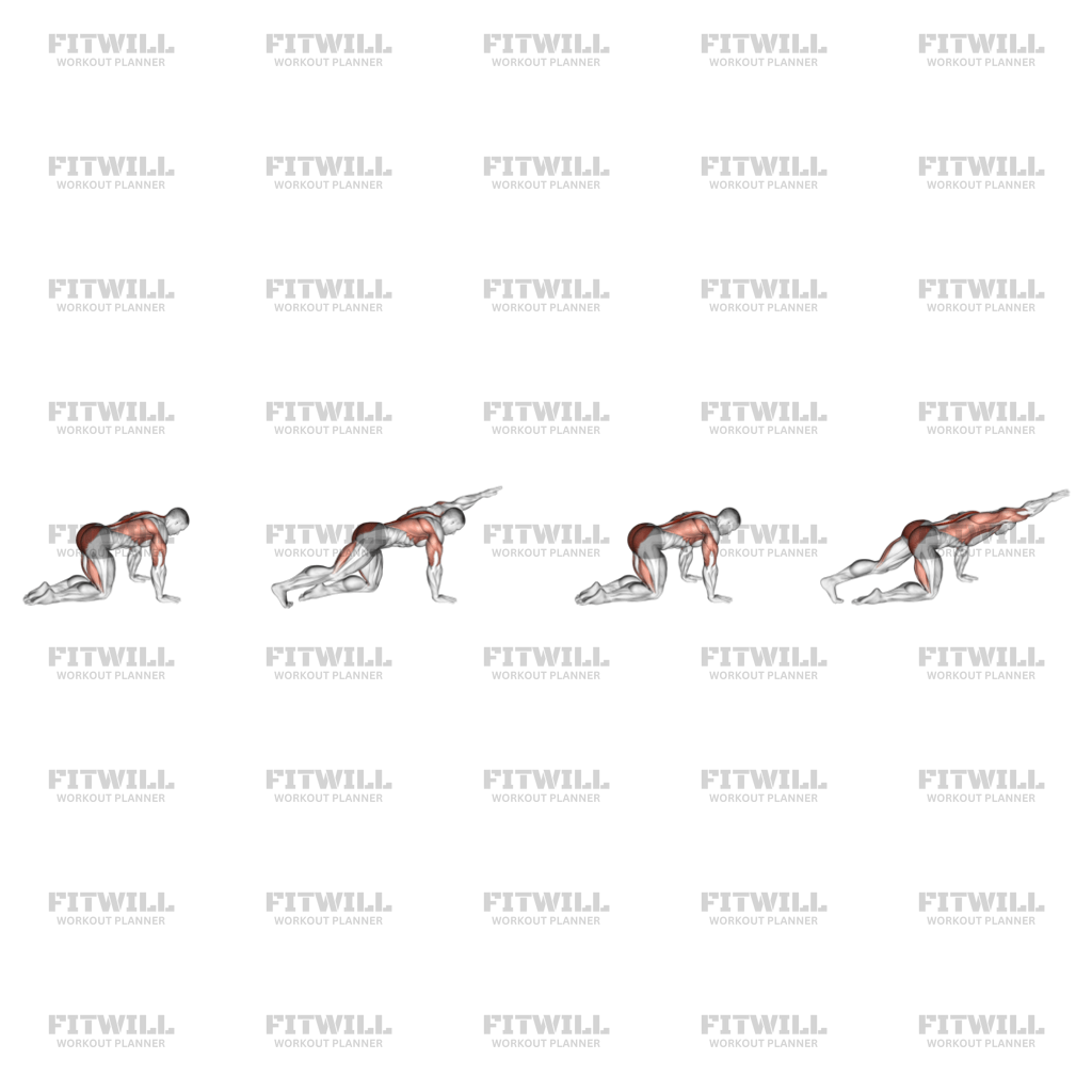 Sliding Leg Bird Dog: Exercise Guide, Video, Techniques, Benefits, How ...