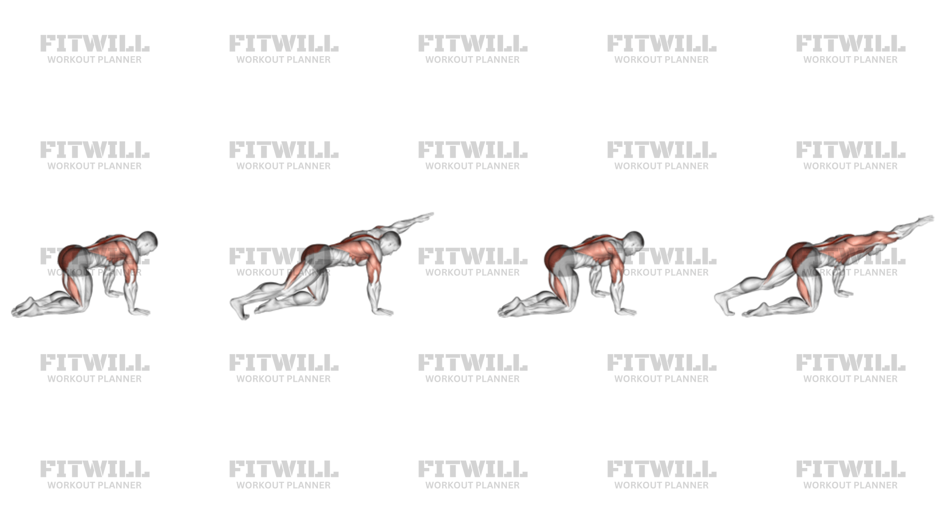 Sliding Leg Bird Dog: Exercise Guide, Video, Techniques, Benefits, How ...
