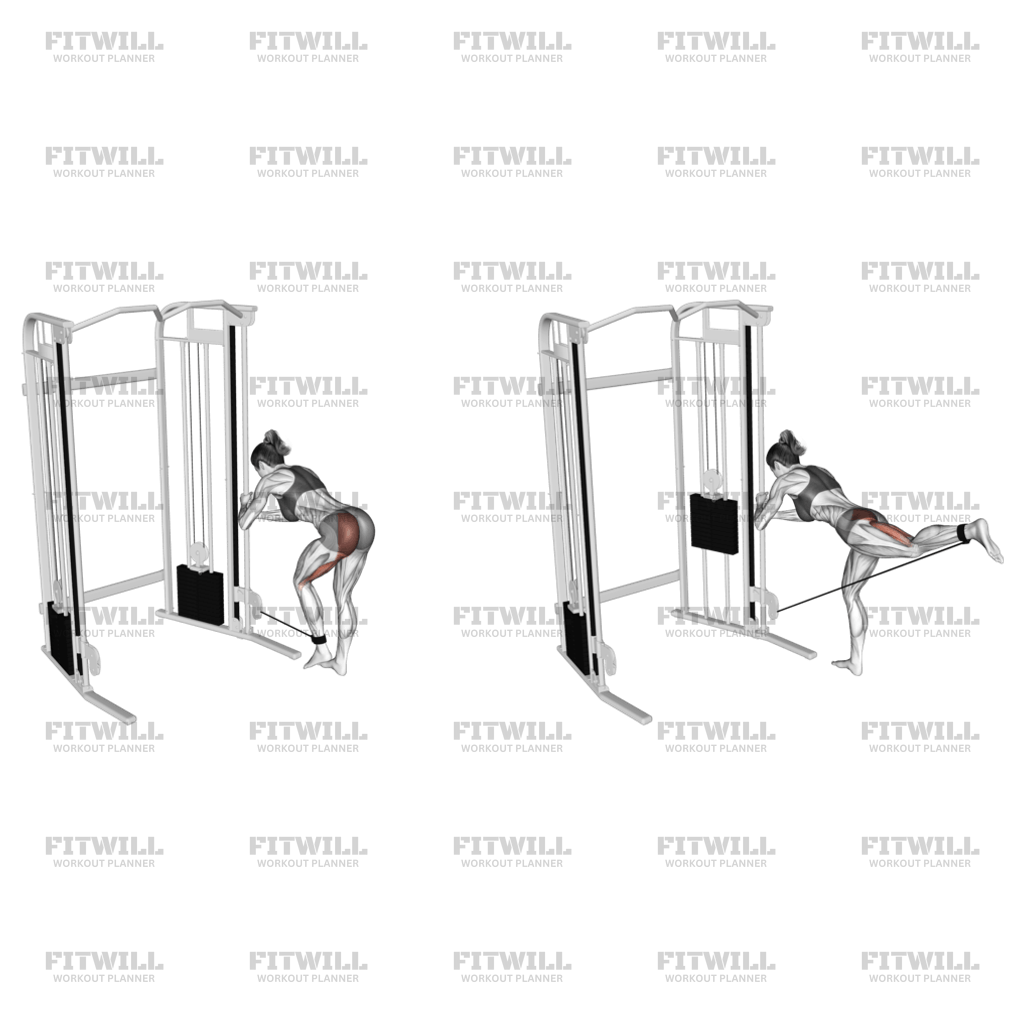 Cable Donkey Kickback: Exercise Guide, Video, Techniques, Benefits, How ...