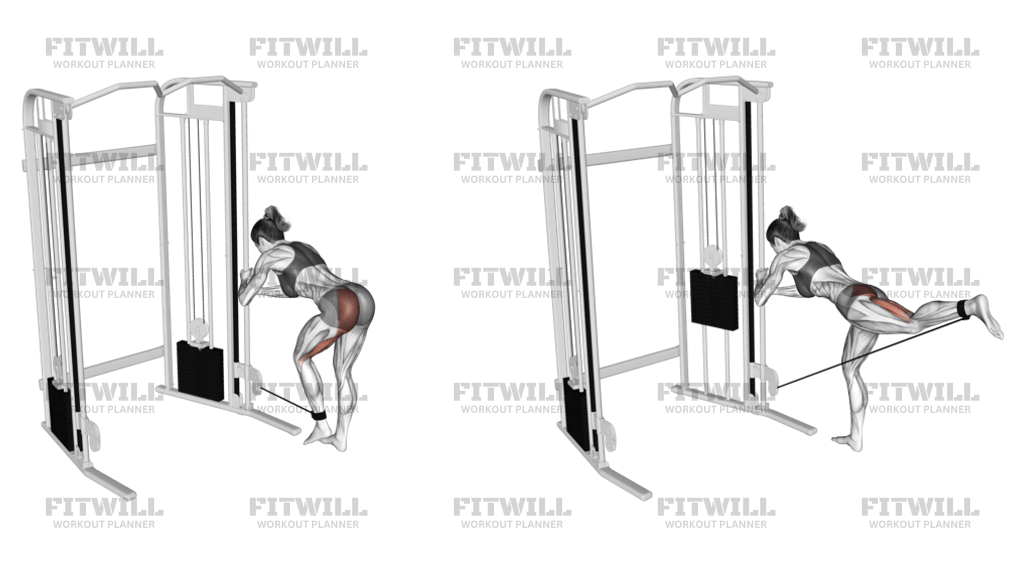 Cable Donkey Kickback: Exercise Guide, Video, Techniques, Benefits, How ...