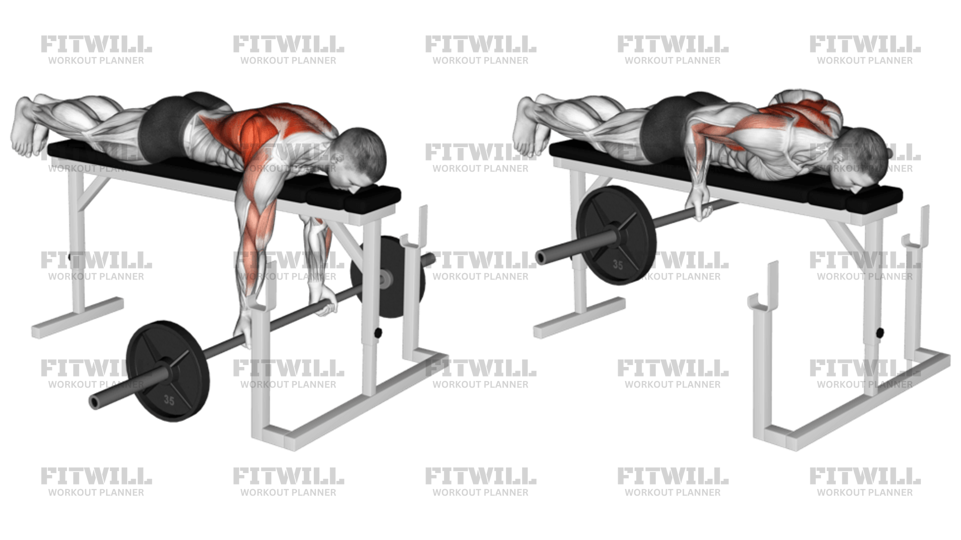 Barbell Lying Close-Grip Underhand Row On Rack: Exercise Guide, Video ...