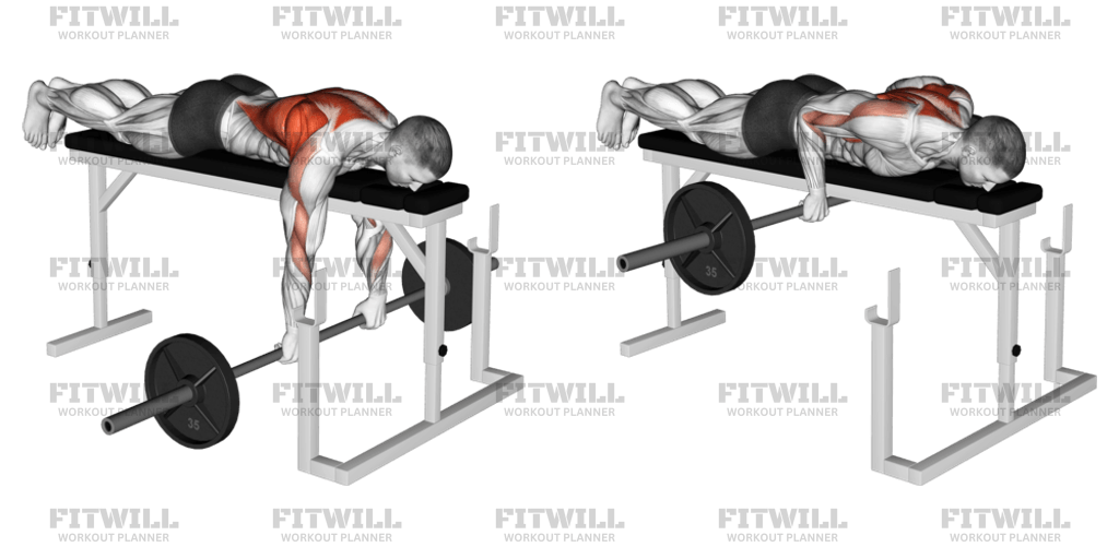 Barbell Lying Close-Grip Overhand Row On Rack: Exercise Guide ...