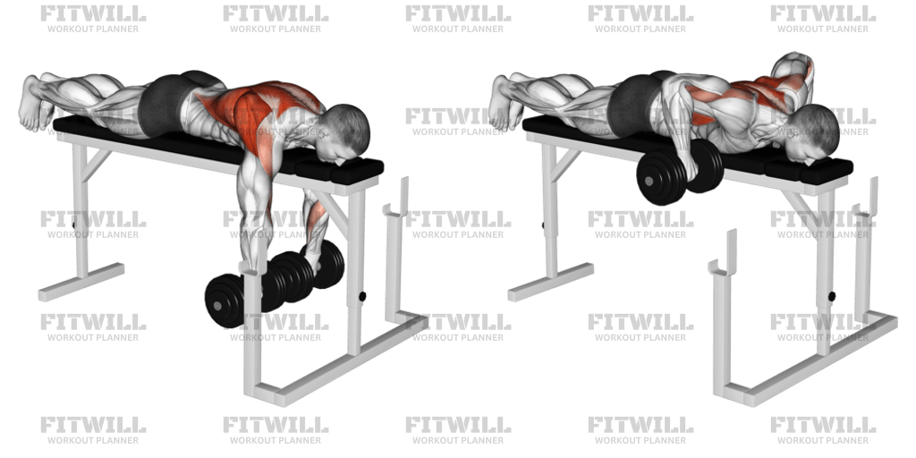 Dumbbell Lying Wide-Grip Row On Rack: Exercise Guide, Techniques ...