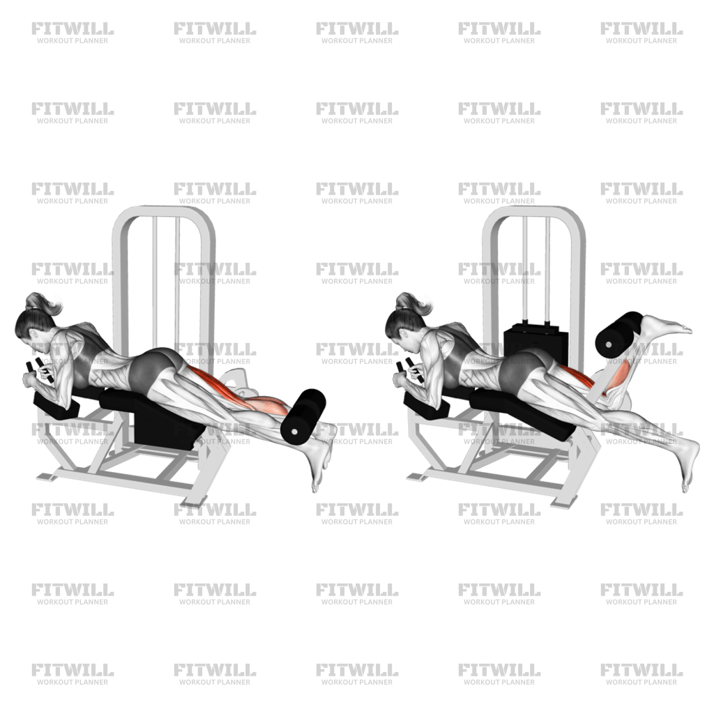 Lever Lying Single Leg Curl: Exercise Video | Fitwill