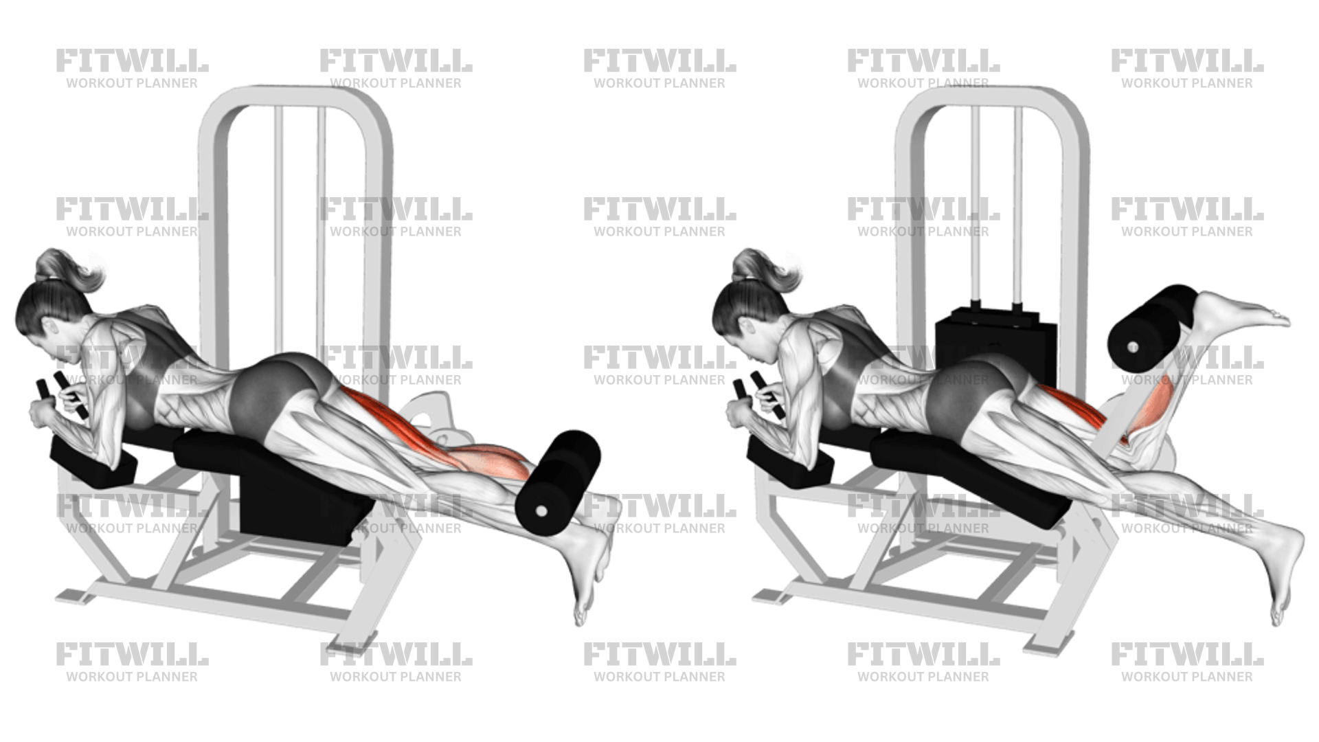 Lever Lying Single Leg Curl: Exercise Video | Fitwill