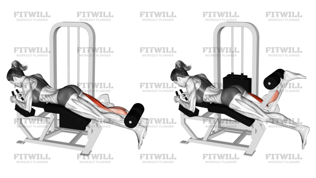 Curl Femoral Unilateral En Decúbito Prono Con Palanca: Guía de ...