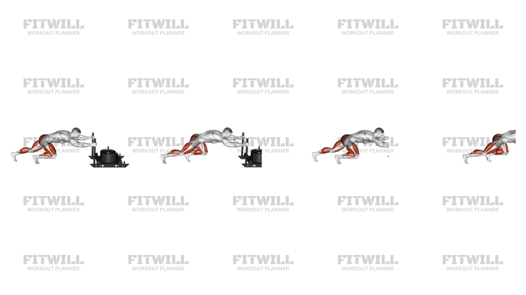 Power Sled Push: Exercise Guide, Video, Techniques, Benefits, How to ...