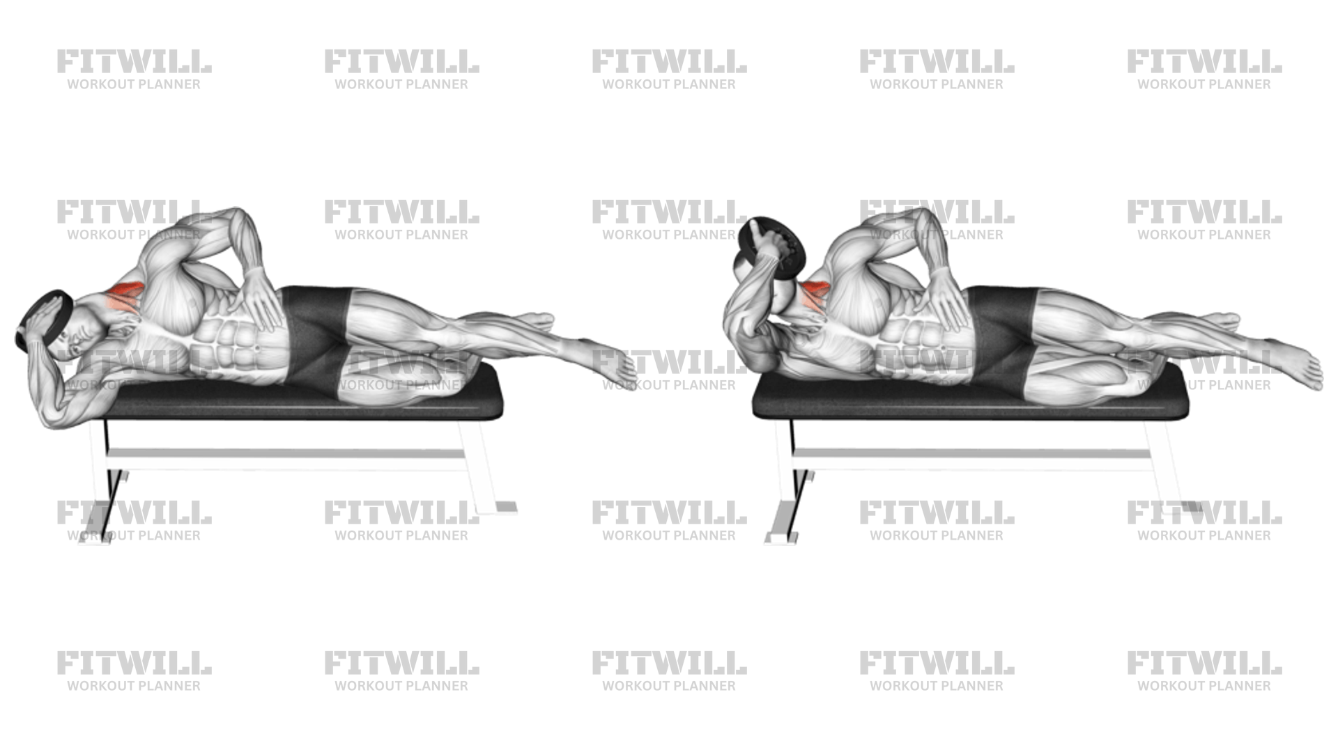 Weighted Side Lying Side Neck Raise: Exercise Guide, Techniques ...