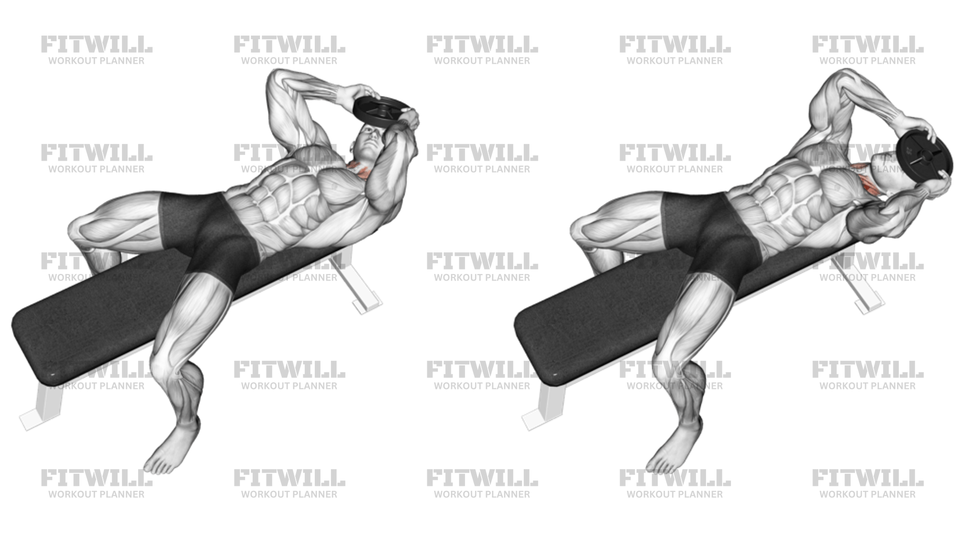 Weighted Lying Neck Side To Side: Exercise Guide, Techniques, Benefits ...