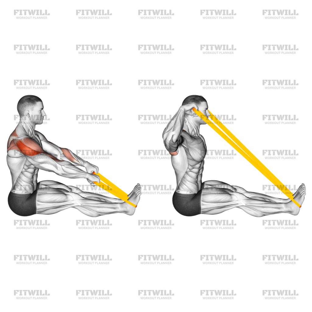 Resistance Band Seated Face Pull: Exercise Guide, Techniques, Benefits ...