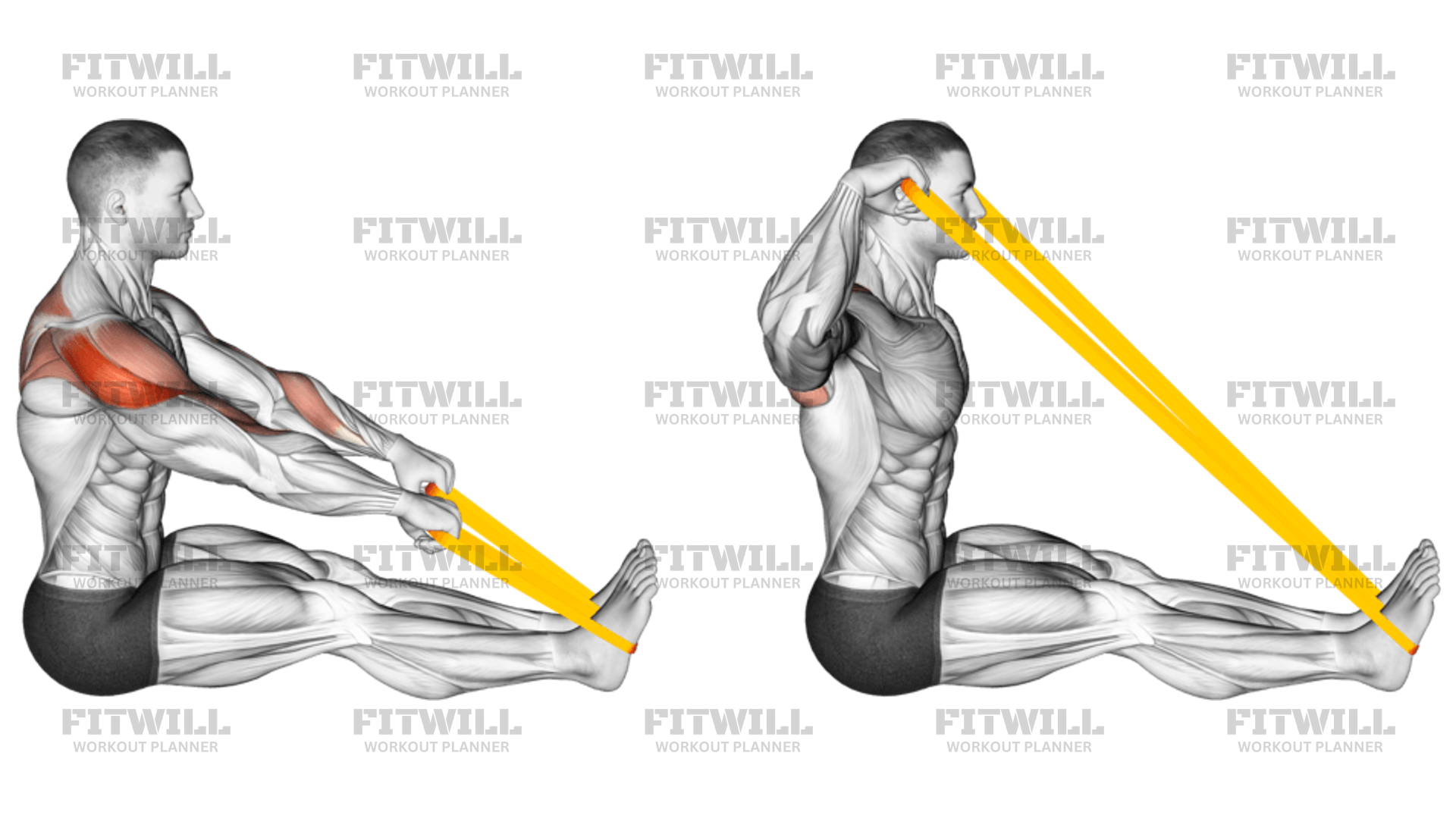 Resistance Band Seated Face Pull: Exercise Guide, Techniques, Benefits ...