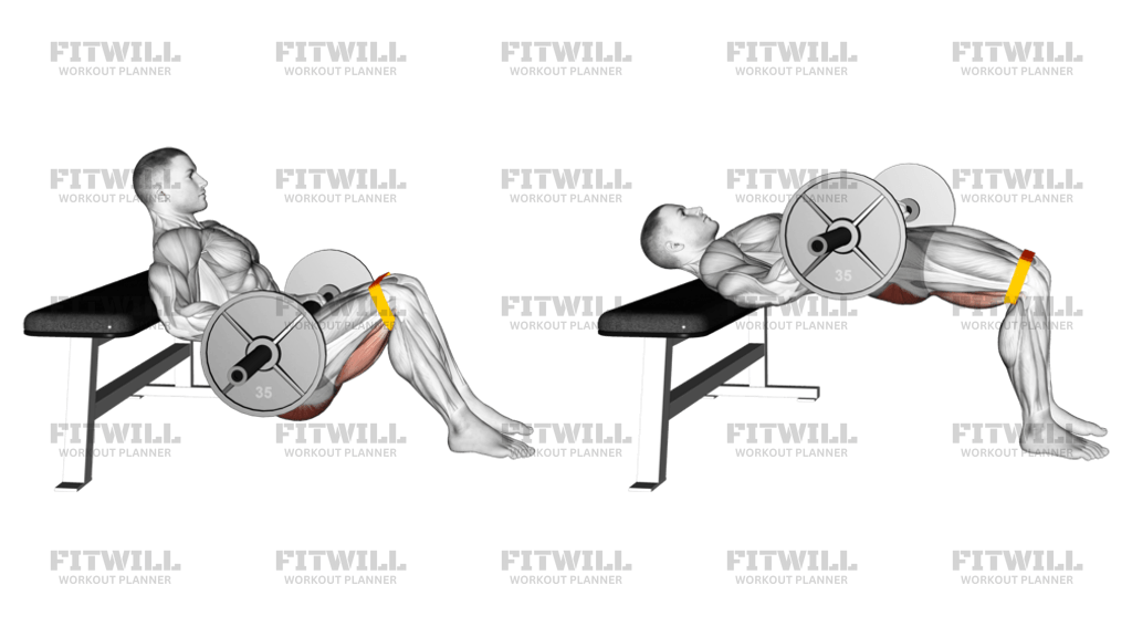 Elevación De Cadera Con Barra Y Banda De Resistencia: Guía de Ejercicios, Técnicas, Beneficios ...