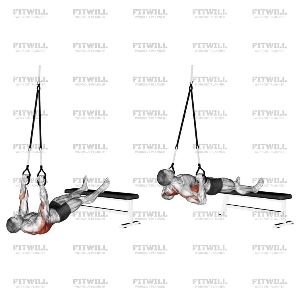 Suspender Wide Grip Inverted Row: Exercise Guide, Video, Techniques ...