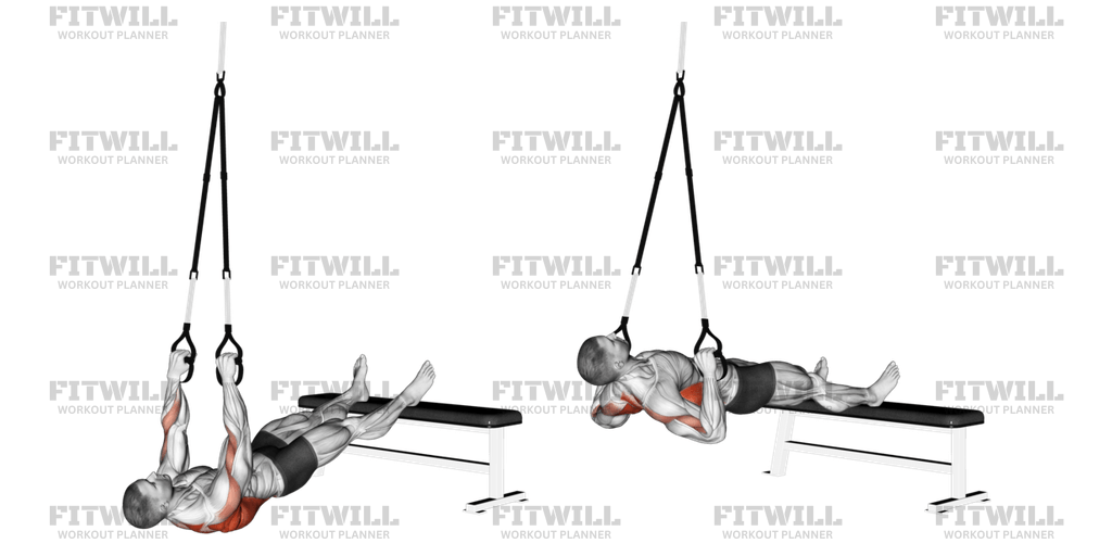 Suspender Wide Grip Inverted Row: Exercise Guide, Video, Techniques ...