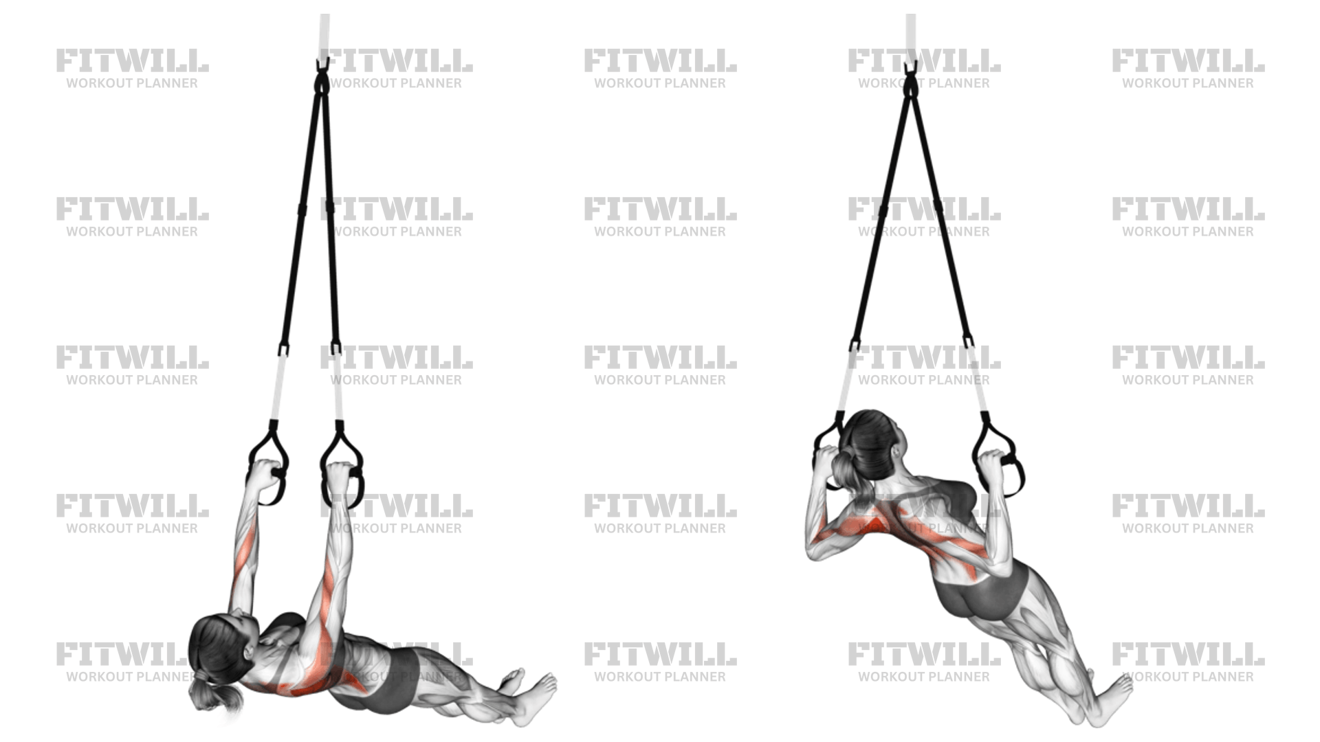 Suspender Wide Grip Inverted Row On Floor: Exercise Video | Fitwill