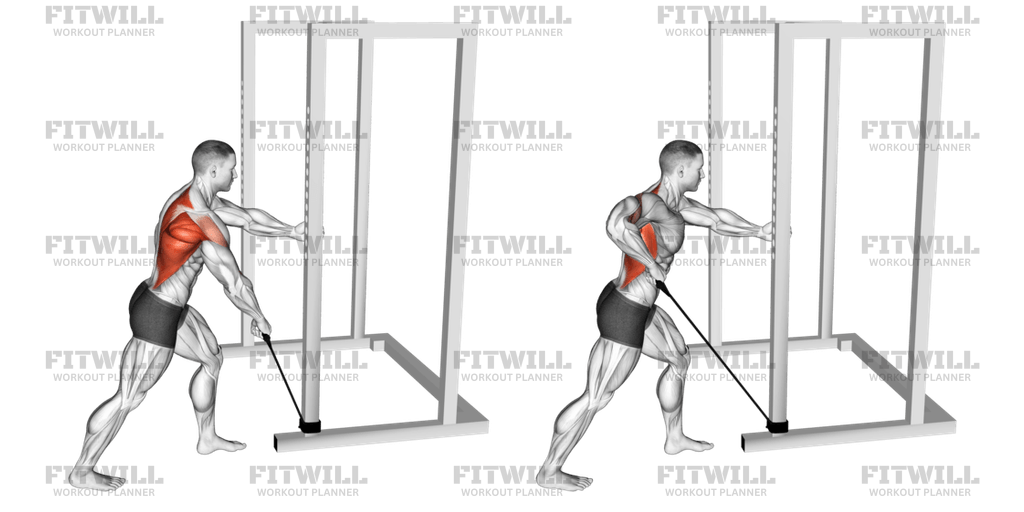 Band One Arm Standing Wide Grip Low Row: Exercise Guide, Techniques ...