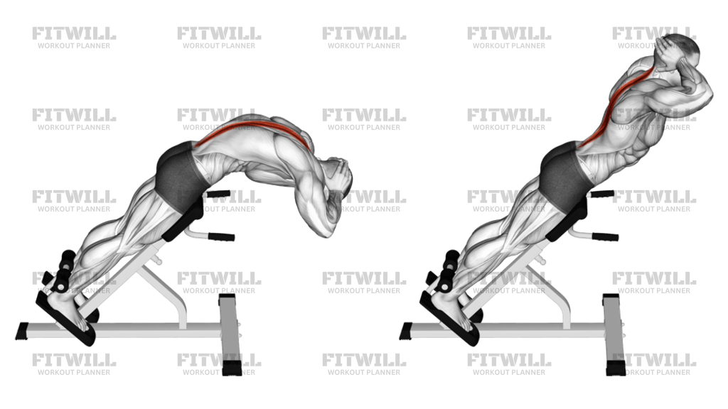 Roman Chair 45 Degrees Back Extension: Exercise Guide, Techniques ...