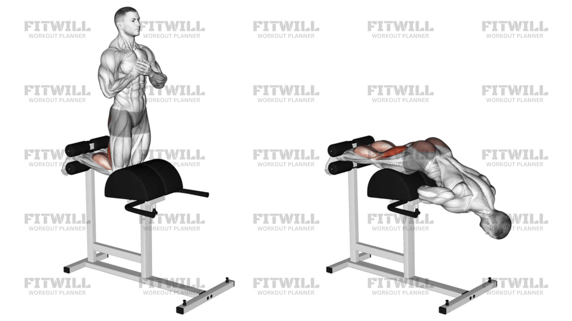 Glute Ham Raise (VERSION 2): Exercise Guide, Video, Techniques ...