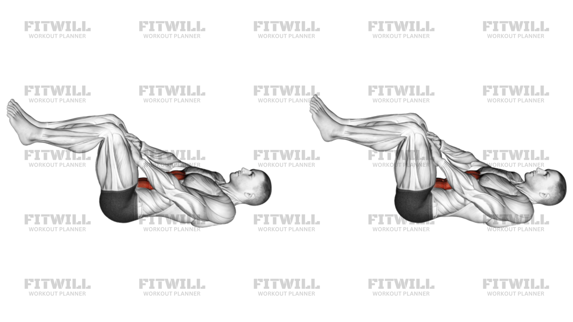Press Abdominal Tumbado: Guía de Ejercicios, Técnicas, Beneficios, Cómo ...