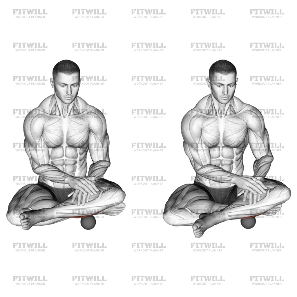 Roll Ball Peroneus: Exercise Guide, Techniques, Benefits, How to ...