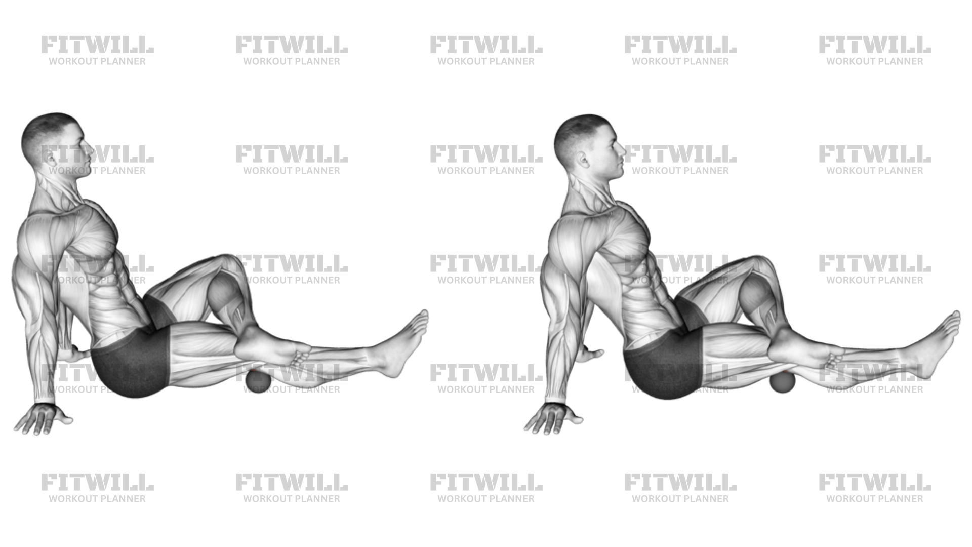 Roll Ball Popliteal: Exercise Guide, Techniques, Benefits, How to ...