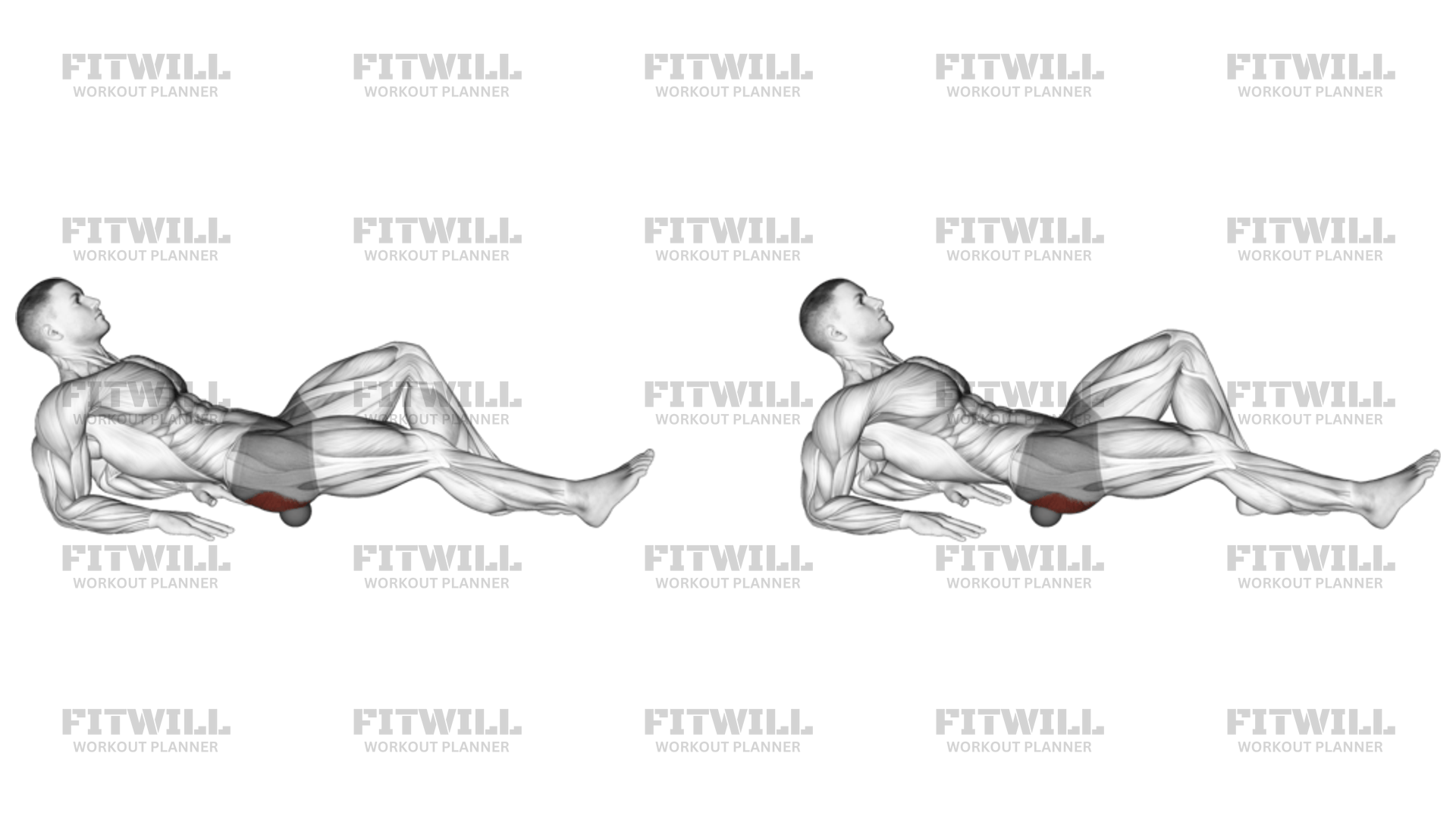 Roll Ball Piriformis Version 2: Exercise Guide, Techniques, Benefits ...