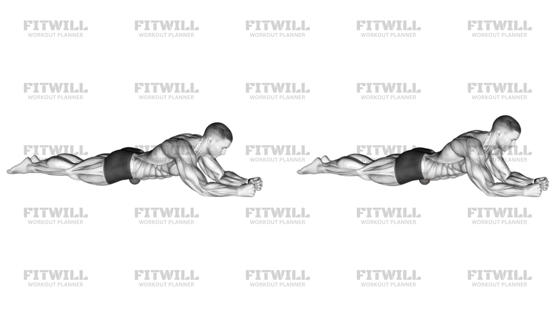 Roll Ball Psoas - Abdominal Region: Exercise Guide, Techniques ...