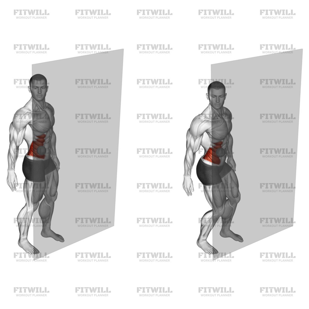 Roll Ball External Oblique: Guide, Techniques, Benefits, How to ...