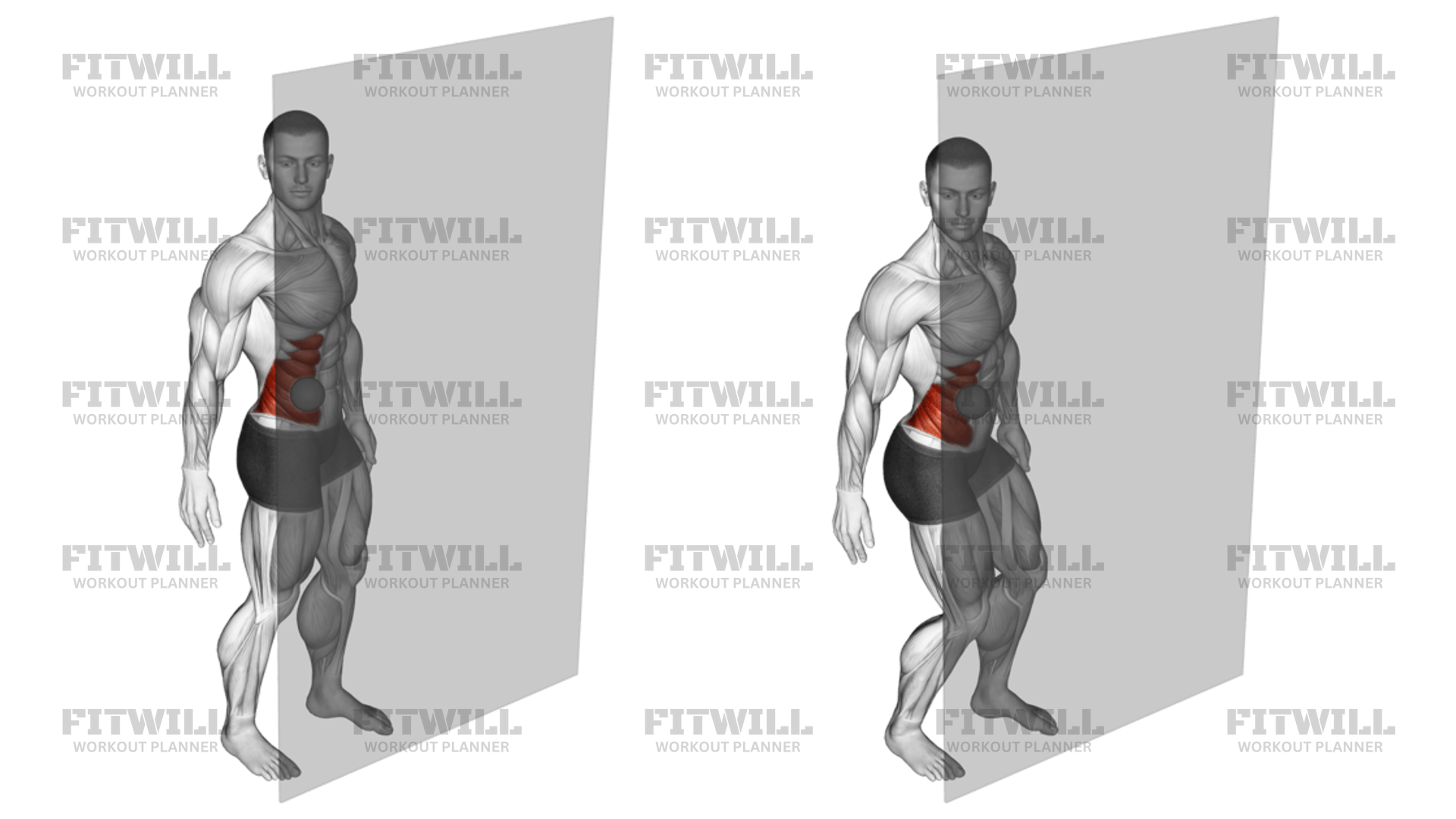 Roll Ball External Oblique: Guide, Techniques, Benefits, How to ...