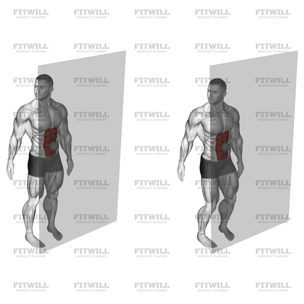 Rollbal Rechte Buikspier: Oefeningengids, Technieken, Voordelen ...