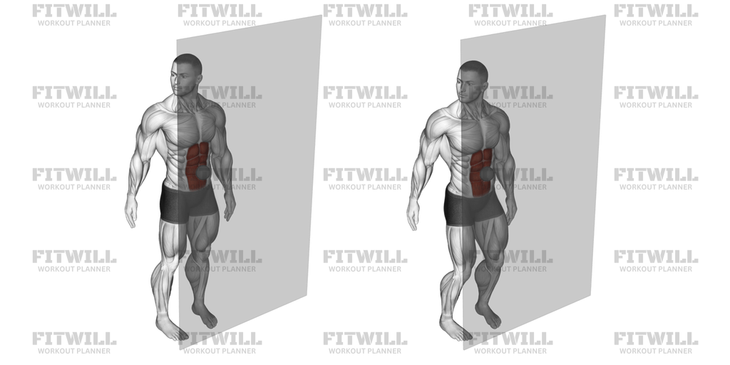 Rollbal Rechte Buikspier: Oefeningengids, Technieken, Voordelen ...