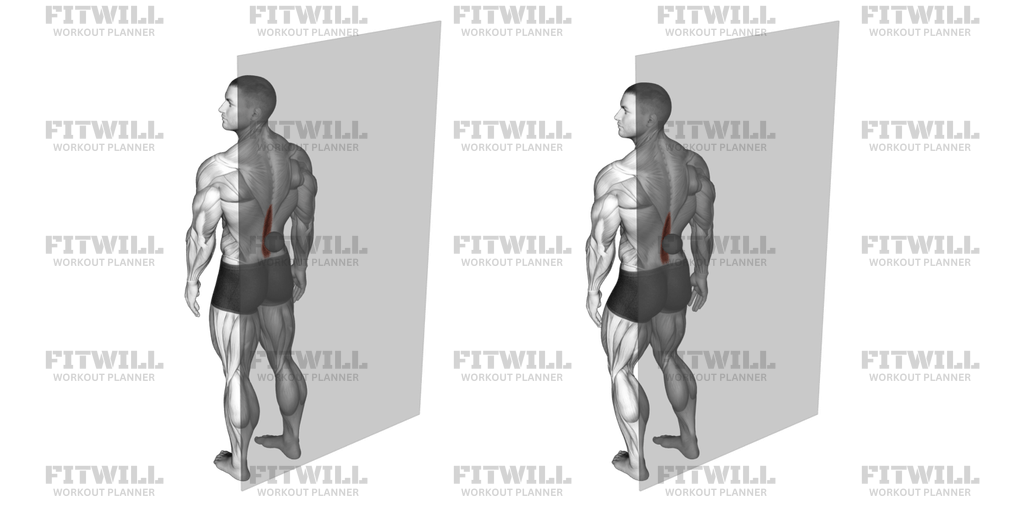 Roll Ball Erector Spinae: Exercise Guide, Techniques, Benefits, How to ...