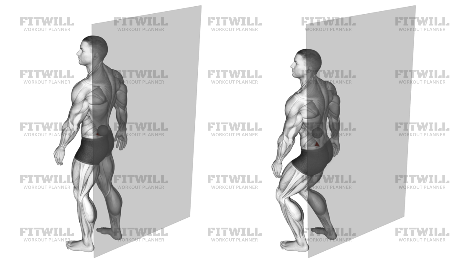 Roll Ball Lumbar - Diagonal: Exercise Guide, Techniques, Benefits, How ...