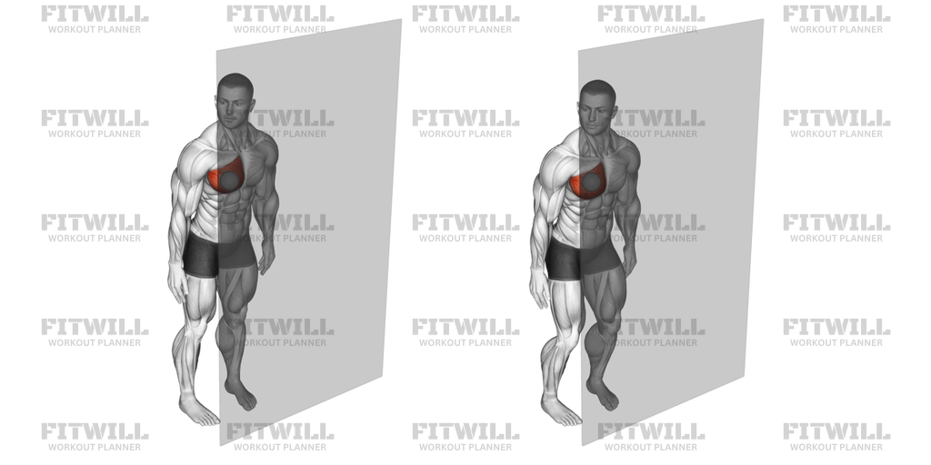 Roll Ball Pectoralis Major - Sternal: Exercise Guide, Techniques ...