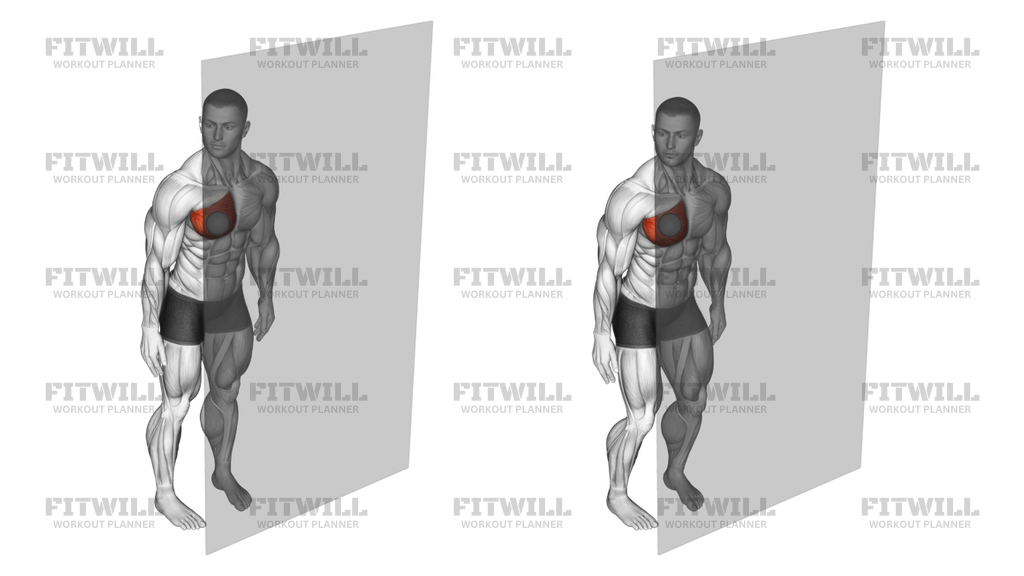 Roll Ball Pectoralis Major - Sternal: Exercise Guide, Techniques ...