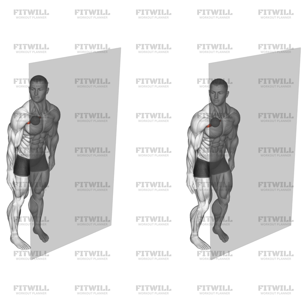 Roll Ball Pectoralis Major Clavicular: Exercise Guide, Techniques ...