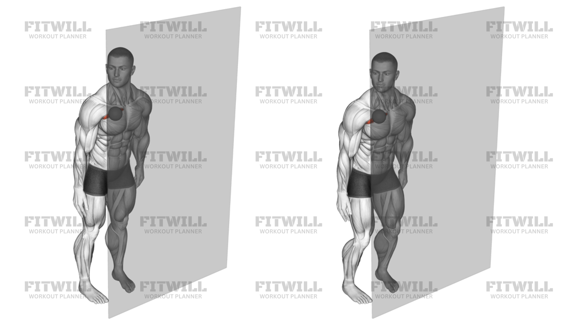 Roll Ball Pectoralis Major - Clavicular: Exercise Guide, Techniques ...