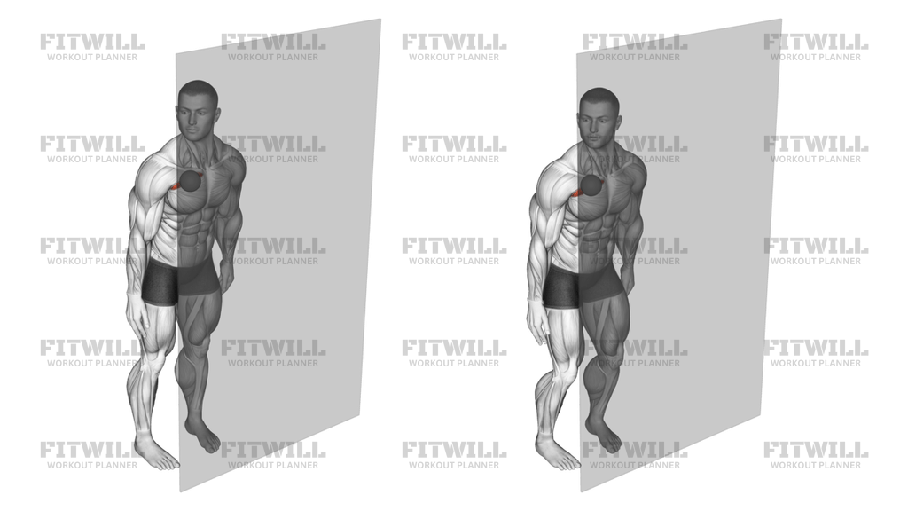Roll Ball Pectoralis Major Clavicular: Exercise Guide, Techniques ...