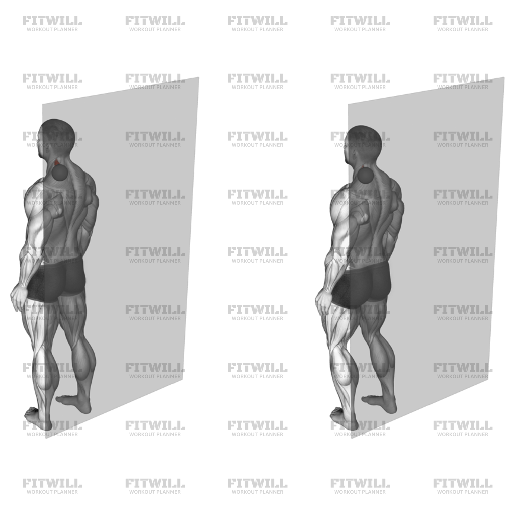 Roll Ball Scapula Levator: Exercise Guide, Techniques, Benefits, How to ...