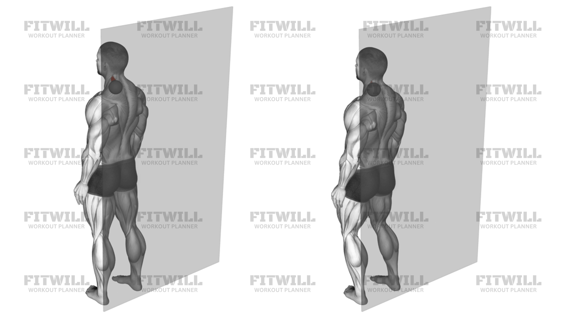 Roll Ball Scapula Levator: Exercise Guide, Techniques, Benefits, How to ...